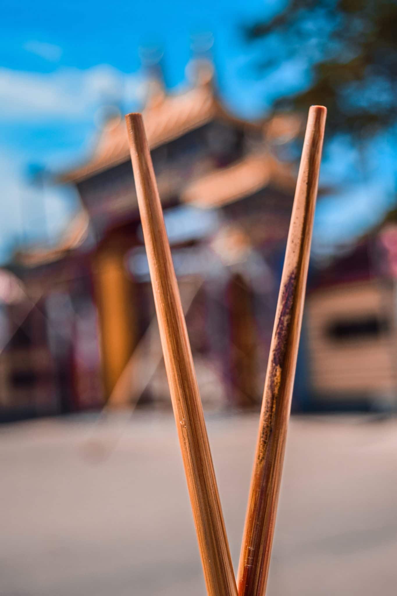 What Countries Eat Dogs? 17 Places And Why They Do It